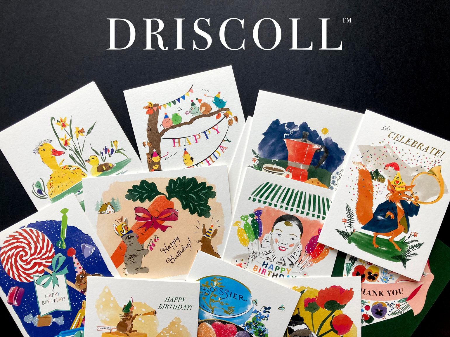 Driscoll Design
