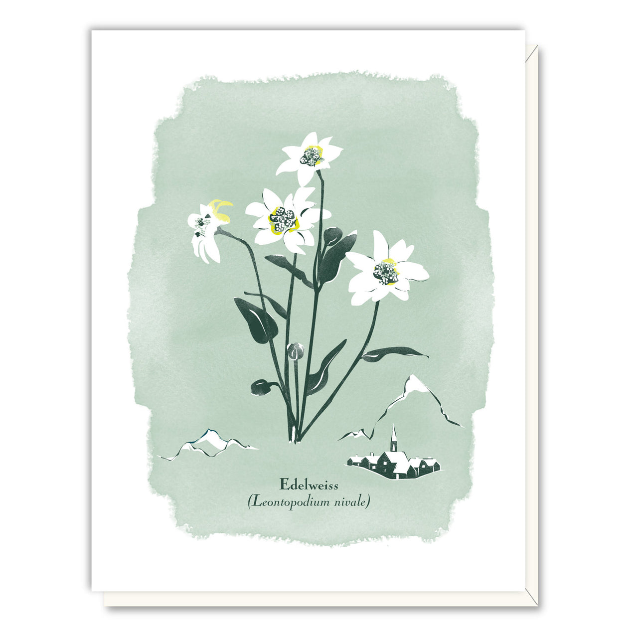 Edelweiss Card – Driscoll Design